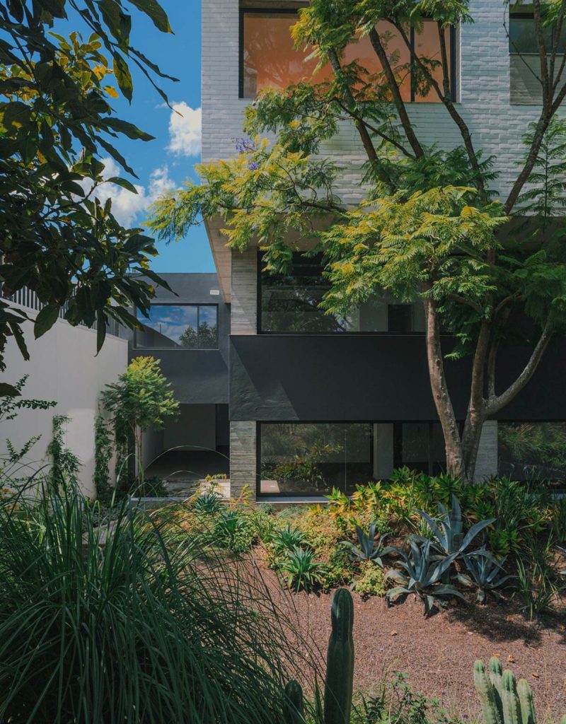 Edificio Natura: arquitectura para conectar naturaleza y sociedad